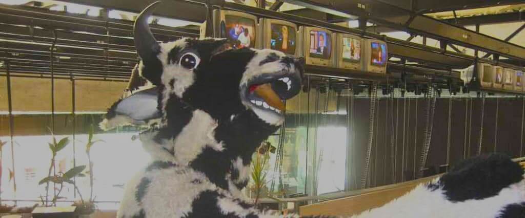 The Sunrise Cash Cow - Extras