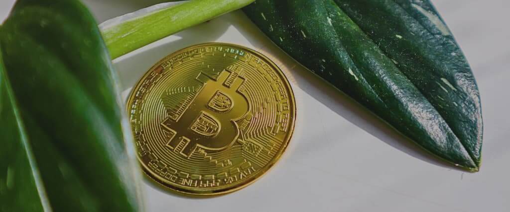 SwyftX Referral Code for 2025 ($20 FREE in Bitcoin!) - Extras