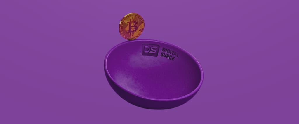 Digital Surge Review - Extras