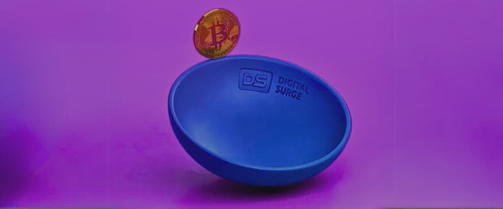 Swyftx vs Digital Surge - Which exchange is better? - Extras