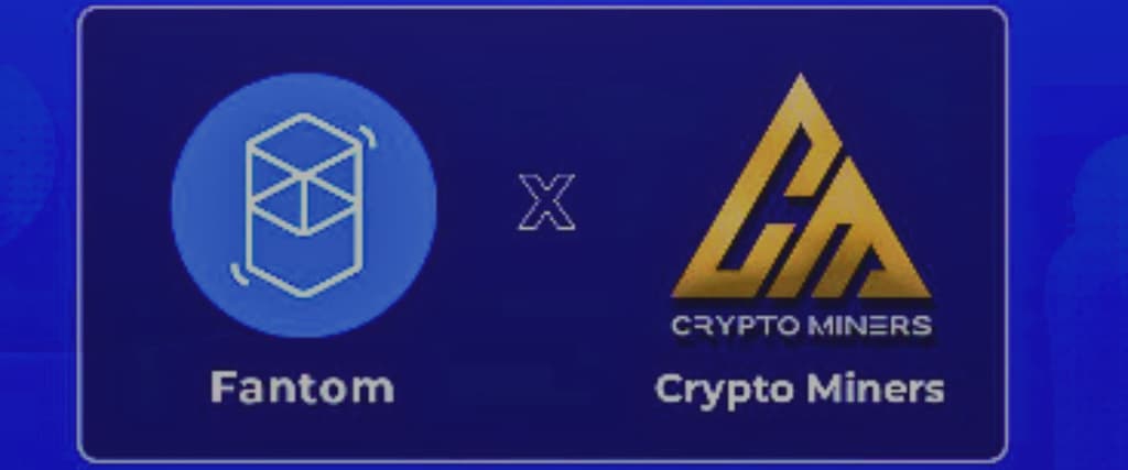 Buy FTM and Access The Fantom Network - Extras