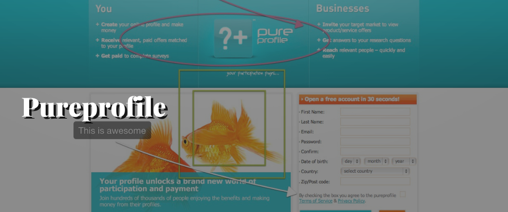 Paid Surveys Australia: 15 Legit Survey Sites for Aussies - Extras